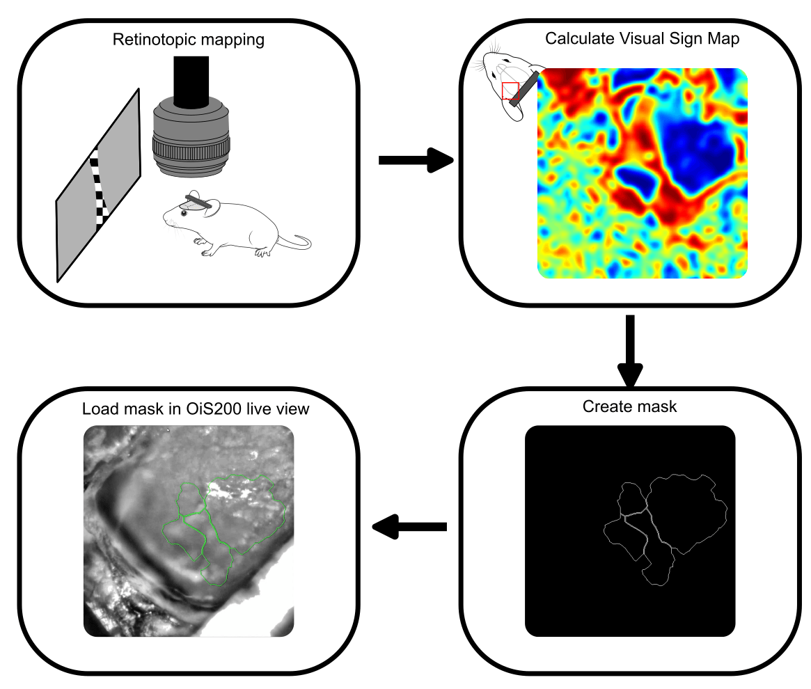 Optical Imaging for Accurate Probe Targeting in Mouse Cortex