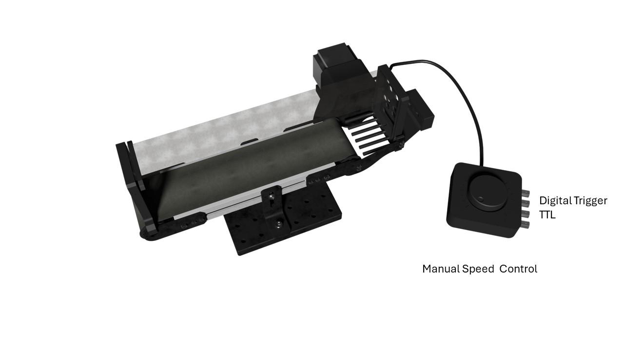 Treadmill for Rats or Mice - LabeoTech