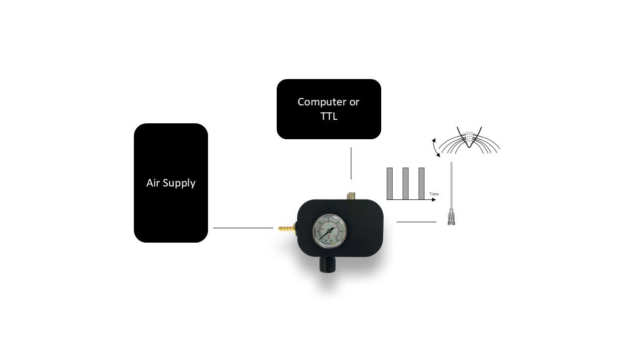 Air Puff Whisker & Olfactory Stimulator - LabeoTech