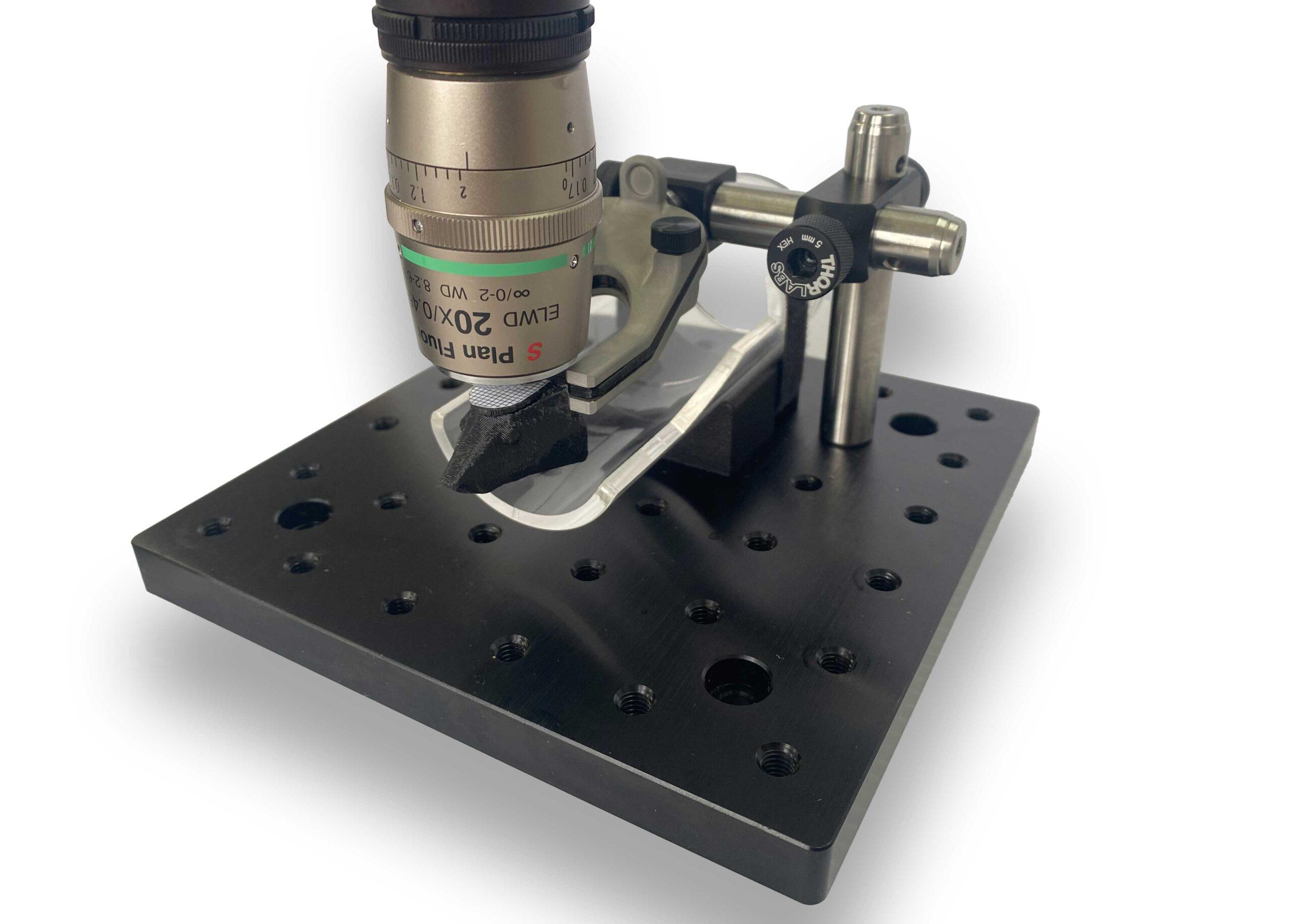 Mouse Head Fixation System - LabeoTech | Biomedical Instruments