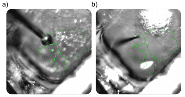 Optical Imaging for Accurate Probe Targeting in Mouse Cortex
