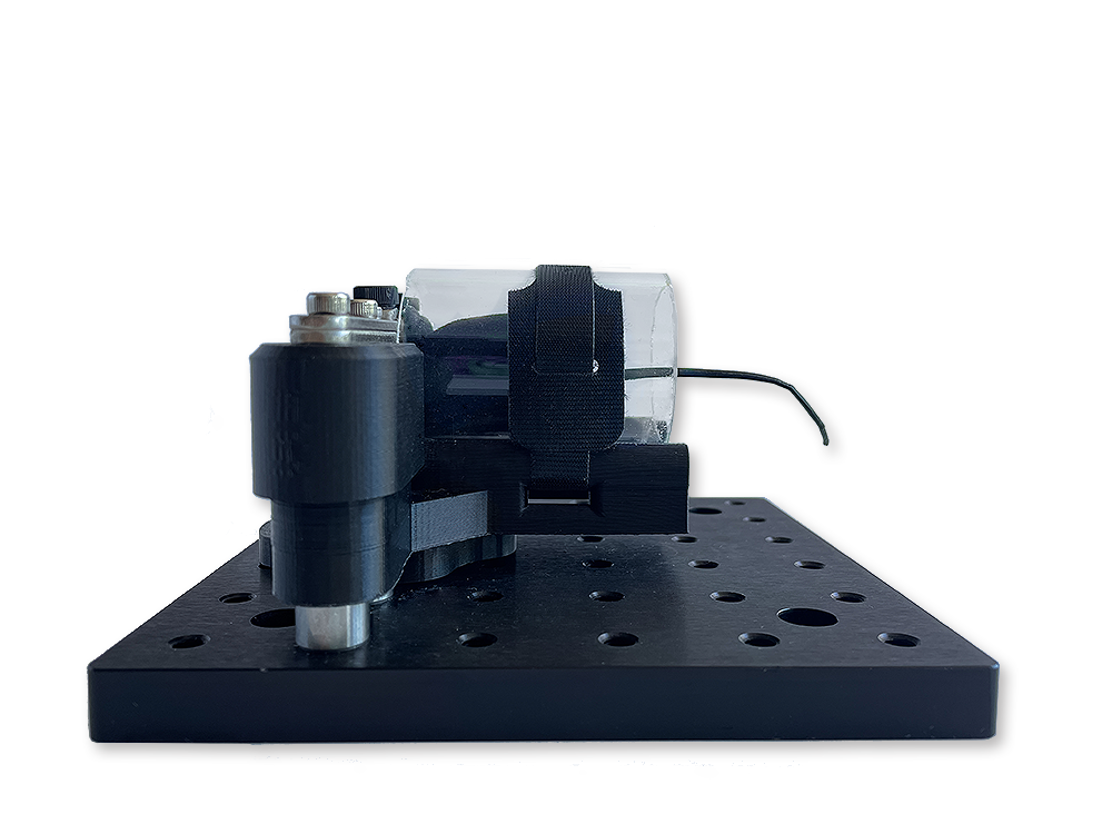 Mouse Head Fixation System - LabeoTech | Biomedical Instruments