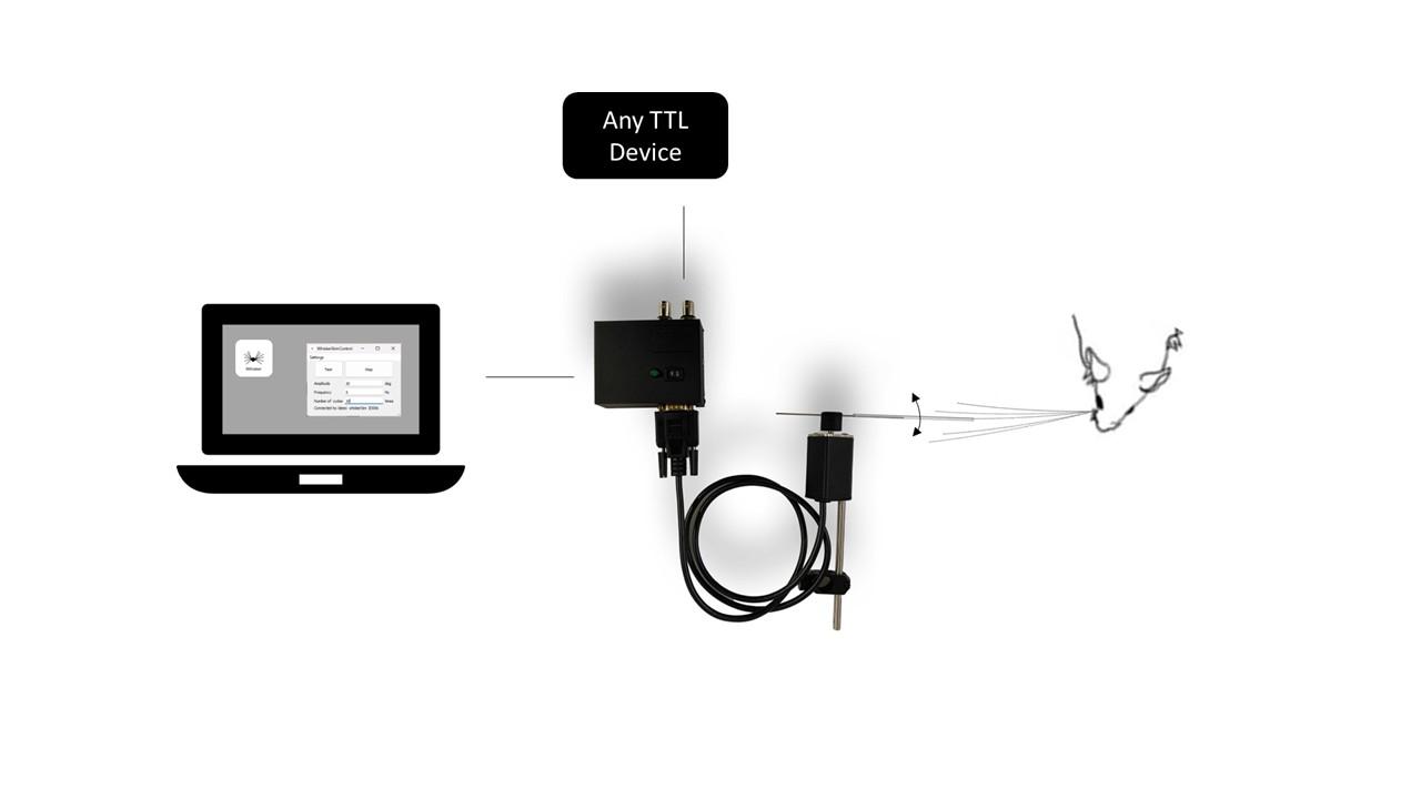 Mechanical Whisker Stimulator - LabeoTech