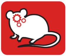 Biomedical Instruments | Clinical Research | LabeoTech